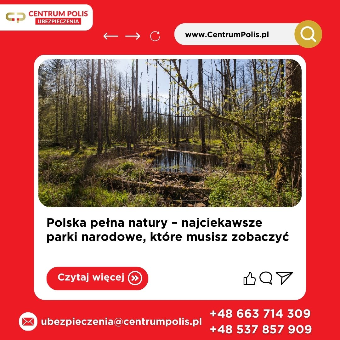 Polska pełna natury – najciekawsze parki narodowe, które musisz ...